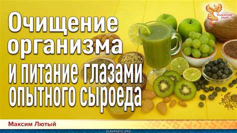 Очищение организма и питание глазами опытного сыроеда - YouTube