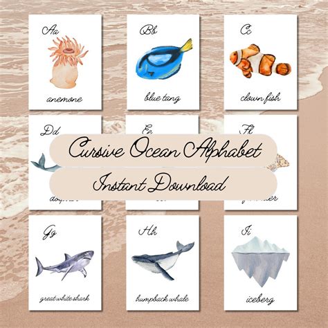 Cursive Ocean Alphabet Flash Cards Ocean Theme Educational Cursive