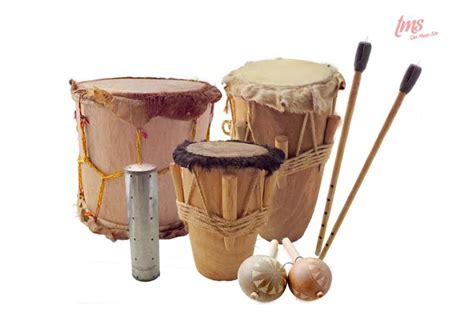 ¿quieres Aprender Sobre La Tambora Musical Cedar Maracas Musical