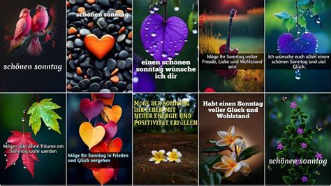 Sonntag Bilder