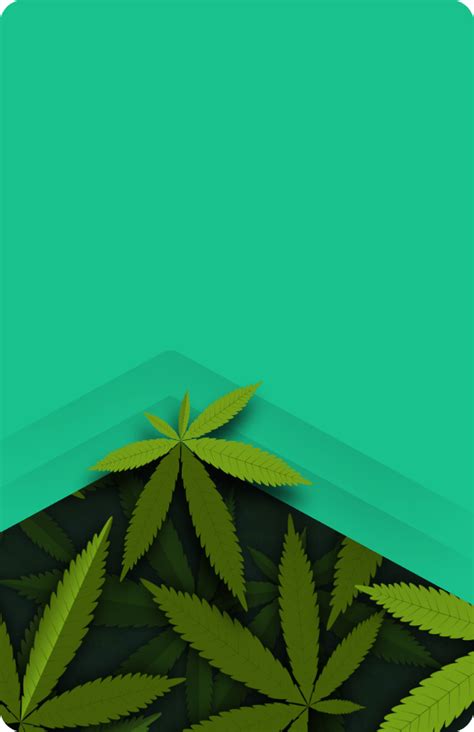 The Different Types Of THC Their Benefits DocMJ