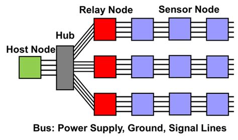 Image Of Nerve Net Tactile Sensing In Robot Download Scientific Diagram