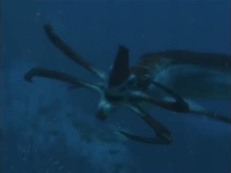 Subnautica Reaper Leviathan Destroys Parked Seamoth YouTube