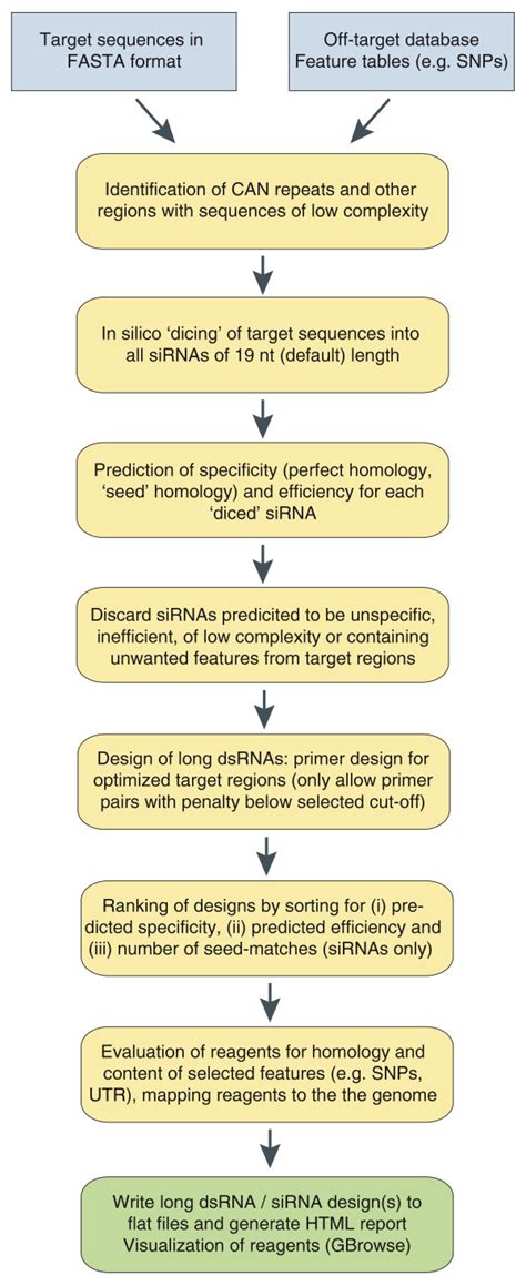Overview Of The NEXT RNAi Workflow NEXT RNAi Requires A Defined Set Of Download Scientific