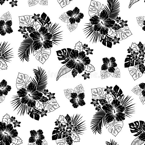 Modello Senza Cuciture Esotico Tropicale In Bianco E Nero Di Vettore Floreale Dell Ibisco E Del