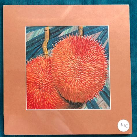 Red Pandanus Susanna Job