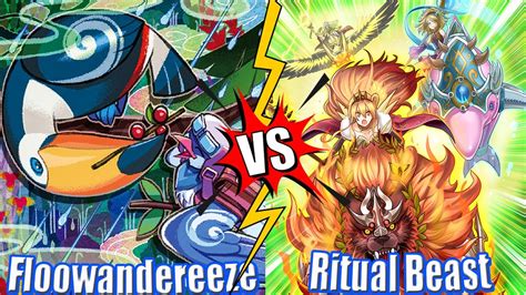 Floowandereeze Vs Ritual Beast High Rated DB Yu Gi Oh 2024 YouTube