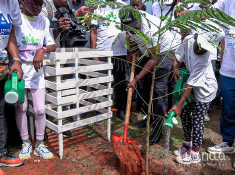 Governo Provincial de Luanda Notícias PROGRAMA DE ARBORIZAÇÃO DE
