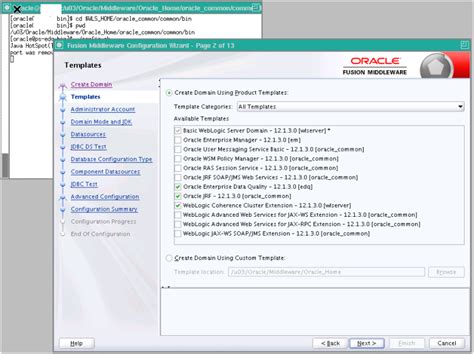 Oracle Enterprise Data Quality Edq Devops And Databases