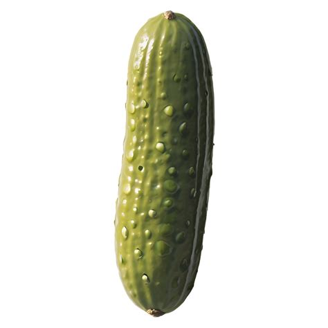 Download Mini Dill Pickle Png 06272024