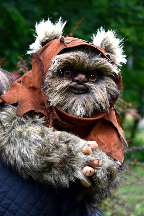 Ewok Etsy