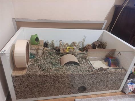 Ikea Linnmon Cage Hello Everyone I Was Wondering If You Have Any