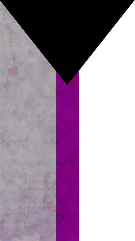 Pride Flag Demisexual Adoxalinia June Ace Activist Asexual