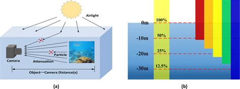 A Schematic Diagram Of Underwater Optical Imaging B Underwater Light