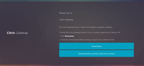 安装 Citrix Secure Access 客户端和 Citrix EPA 客户端 Citrix Secure Access