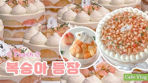 Vlog 카페 브이로그복숭아홍대카페카페사장생과일케이크디저트카페개인카페음료제조복숭아케이크복숭아빙수peach