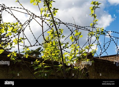 Fence Of An Enterprise With Barbed Wire On Top Protection Against