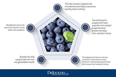 9 Ways Blueberries Boost Brain Function DrJockers Com