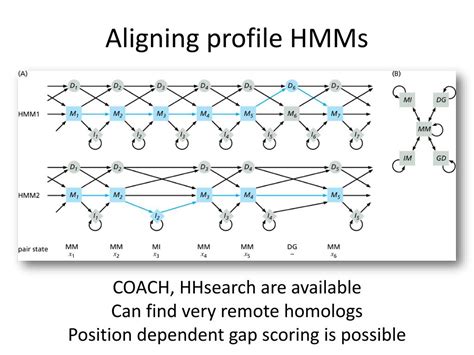 PPT Profiles And Multiple Sequence Alignments PowerPoint Presentation ID