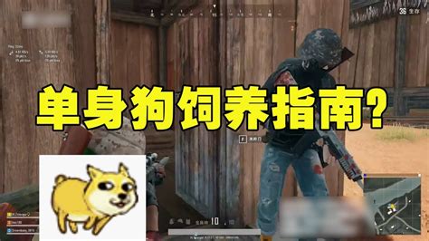 绝地求生：小鬼吃鸡遇小姐姐是养狗专业户，再懂行也撩不动直男单身狗啊 Youtube