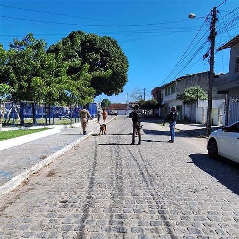 Polícia Usa Cães Farejadores Pra Buscar Locais De Ocultação De Corpos