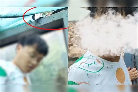 家长带娃在动物园弄破围网投喂猴子，游客劝阻反被怼：丑人多作怪
