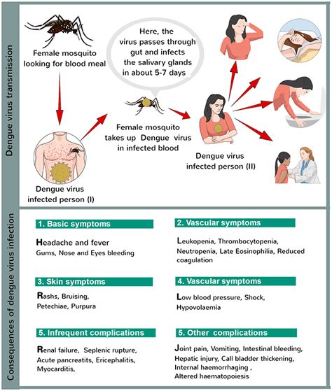 Defend Against Dengue Nokil