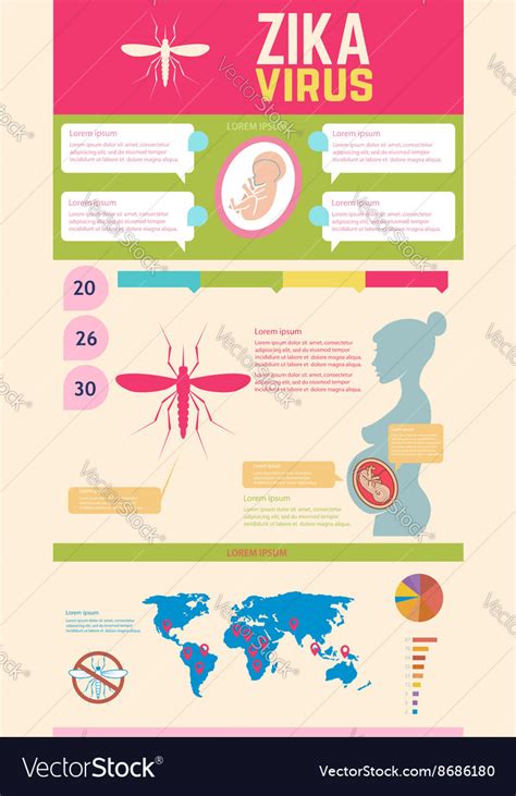 Risk For Pregnant Women Zika Virus Alert Vector Image