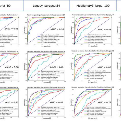 Receiver Operating Characteristic Roc Curves Of The Efficientnet B
