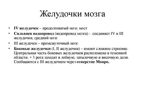 головной мозг Online Presentation