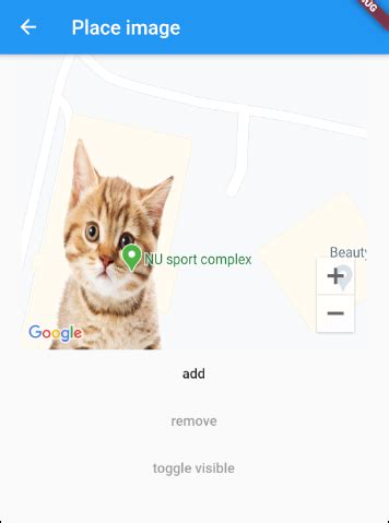 Google Maps Flutter Support For Ground Overlay Issue Flutter Flutter GitHub