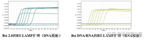等温扩增bst 20、bst Dnarna聚合酶 知乎