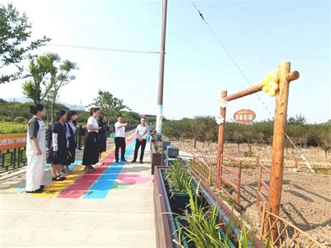 首批省级文化特派员全部完成派驻点报到，活跃于基层——努力把文化之力注入乡村