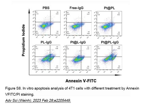美国apexbio中文官网 Annexin V Fitc Apoptosis Kit Detects Apoptosis
