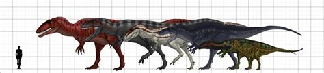 Carcharodontosaurus Vs Mapusaurus