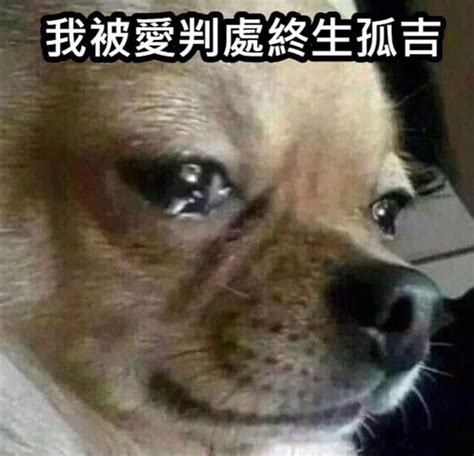 夜騎ubike 去淡水 台科大板 Dcard