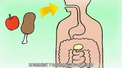 屁的成分 随意云