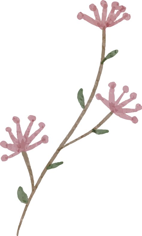Flores Pintadas De Acuarela PNG Antecedentes Acuarela Flor PNG Y