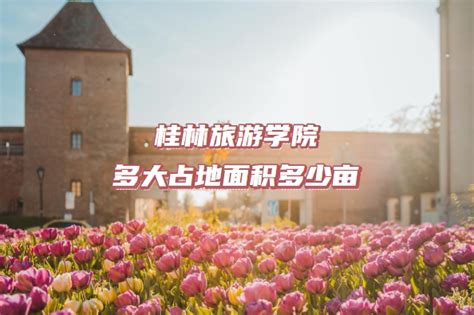 桂林旅游学院多大占地面积多少亩？