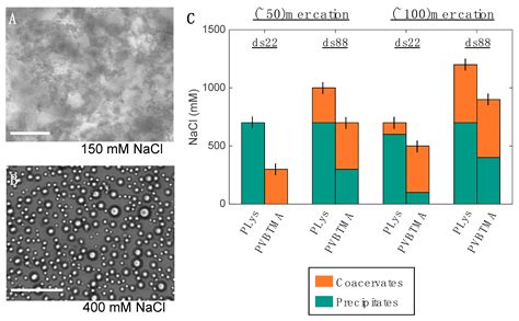 Polyelectrolyte Complexation Of Oligonucleotides By Charged Hydrophobic