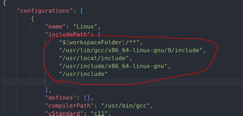 How To Solve The Include Error Detected By Vscode Please Update Includepath Programmer Sought