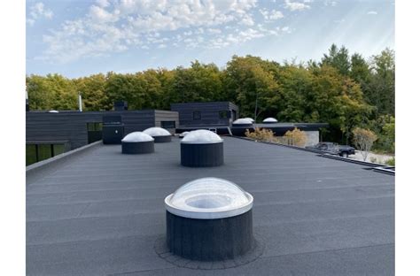 Circular Dome Curb Mount Skylight Artistic Skylight
