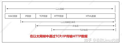 Linux网络协议之套接字及分层模型 知乎