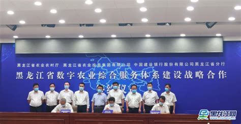 建行黑龙江分行助力传统农业向数字化升级 黑龙江网