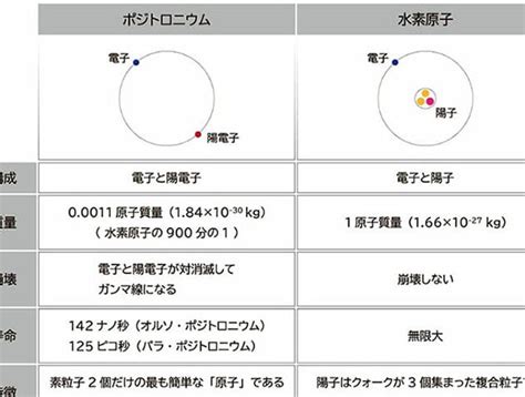 原子 と 粒子 の 違いとは？基本的な概念とその重要性を解説します
