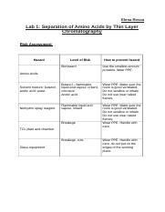 TLC Lab Report Docx Elena Rosca Lab 1 Separation Of Amino Acids By Thin Layer Chromatography