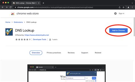 Google Chrome DNS Lookup