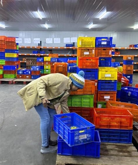 Populationcouncil Consulting