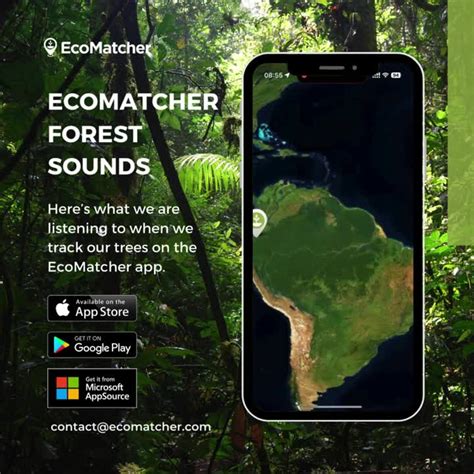 Ecomatcher B Corp™ On Linkedin Ecomatcher Mobile Sustainability