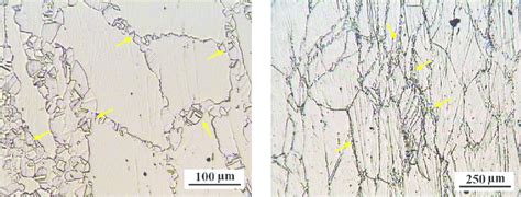 The Microstructures Of The Deformed Specimens At 1100 1c Under The